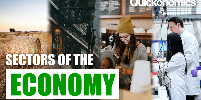 Videos Archives - Quickonomics